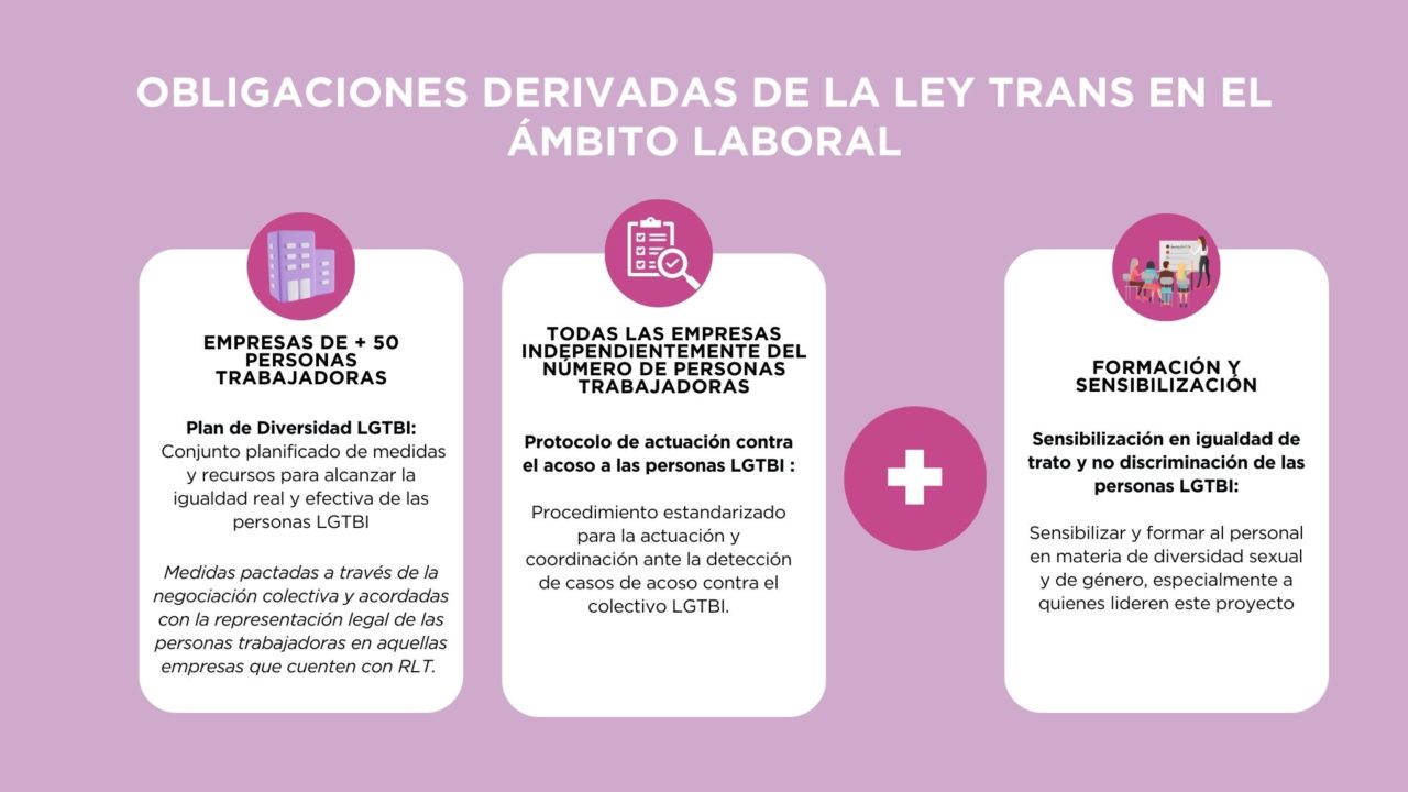 Plan LGTBI ️ Ley 4/23-Trans, Igualdad Empresas LGTBI【2024】